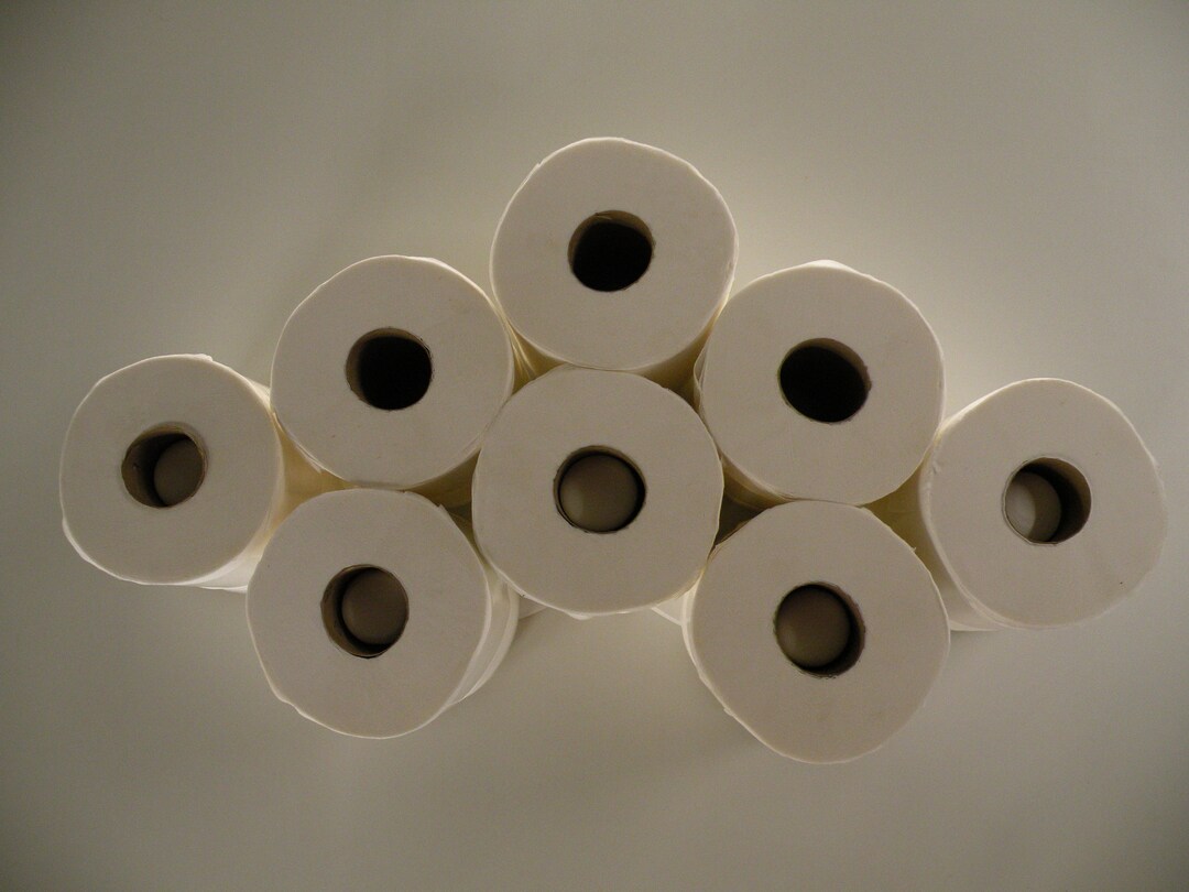 Wave Toilet Paper Storage Rack - Minimalist - Stylish - Contemporary ...
