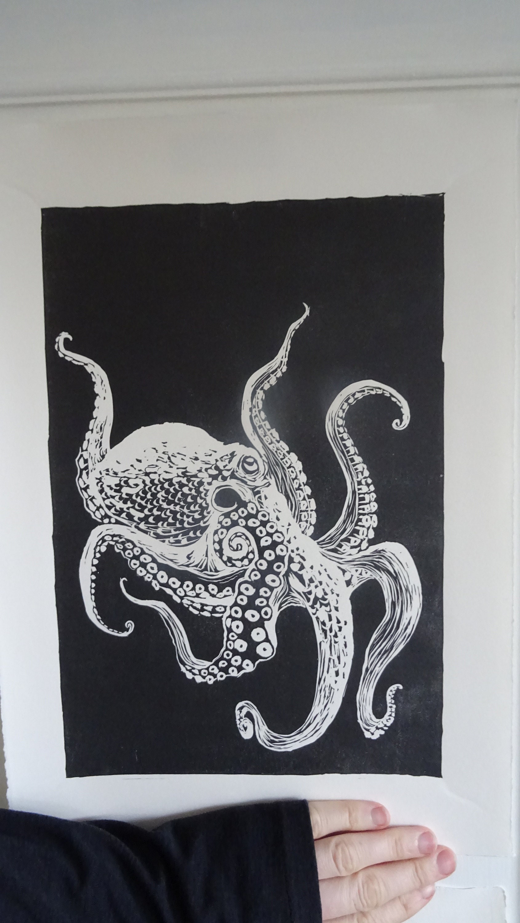 Common Octopus Linocut Print black & White - Etsy