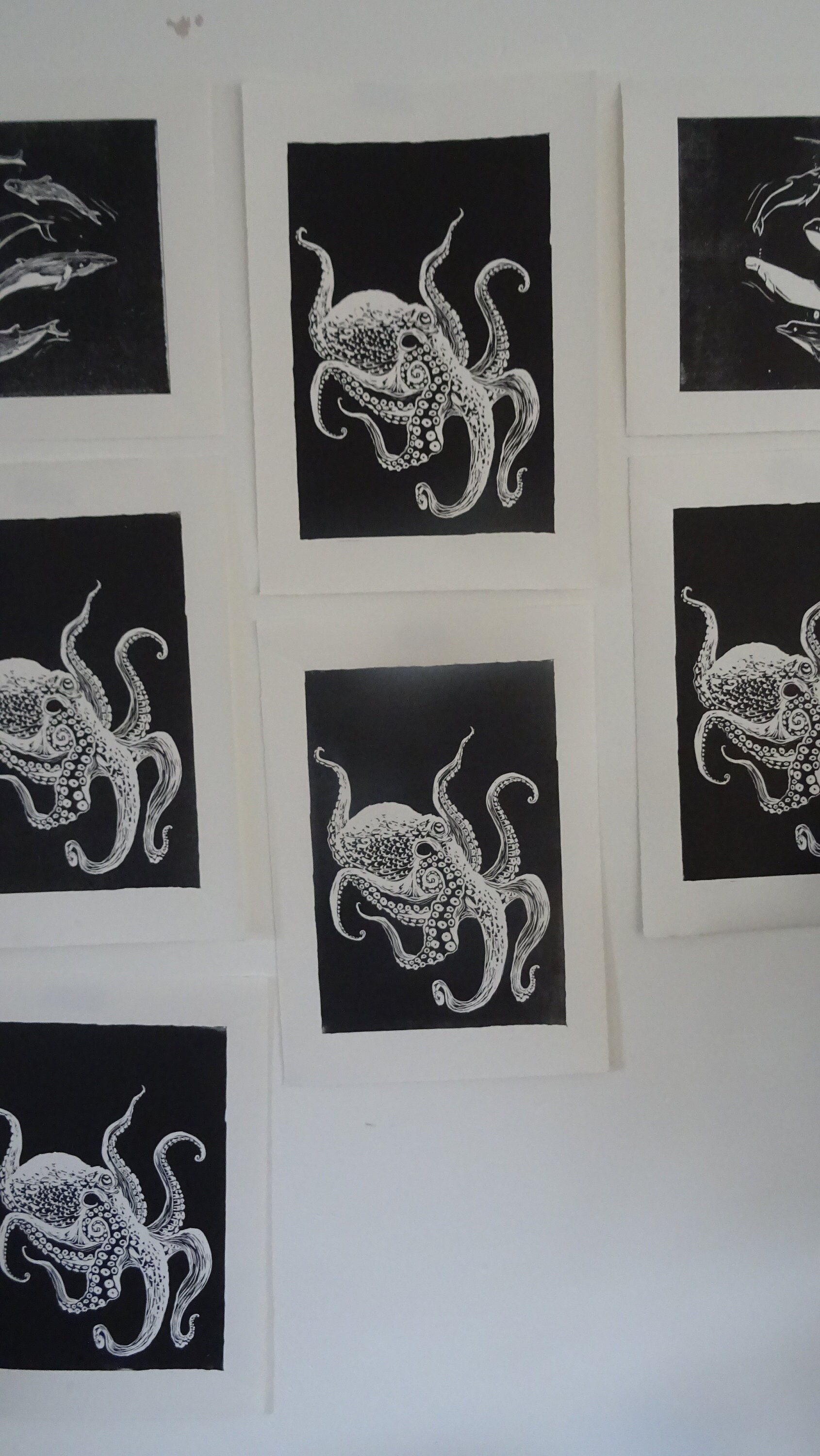Common Octopus Linocut Print black & White - Etsy