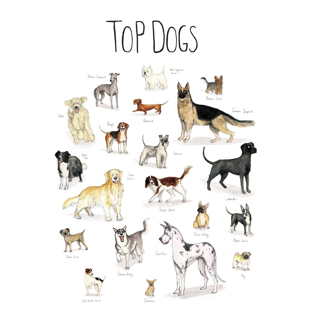Top Dogs HQ Fine Art Print of Original Watercolour, Pen & Ink Painting ...