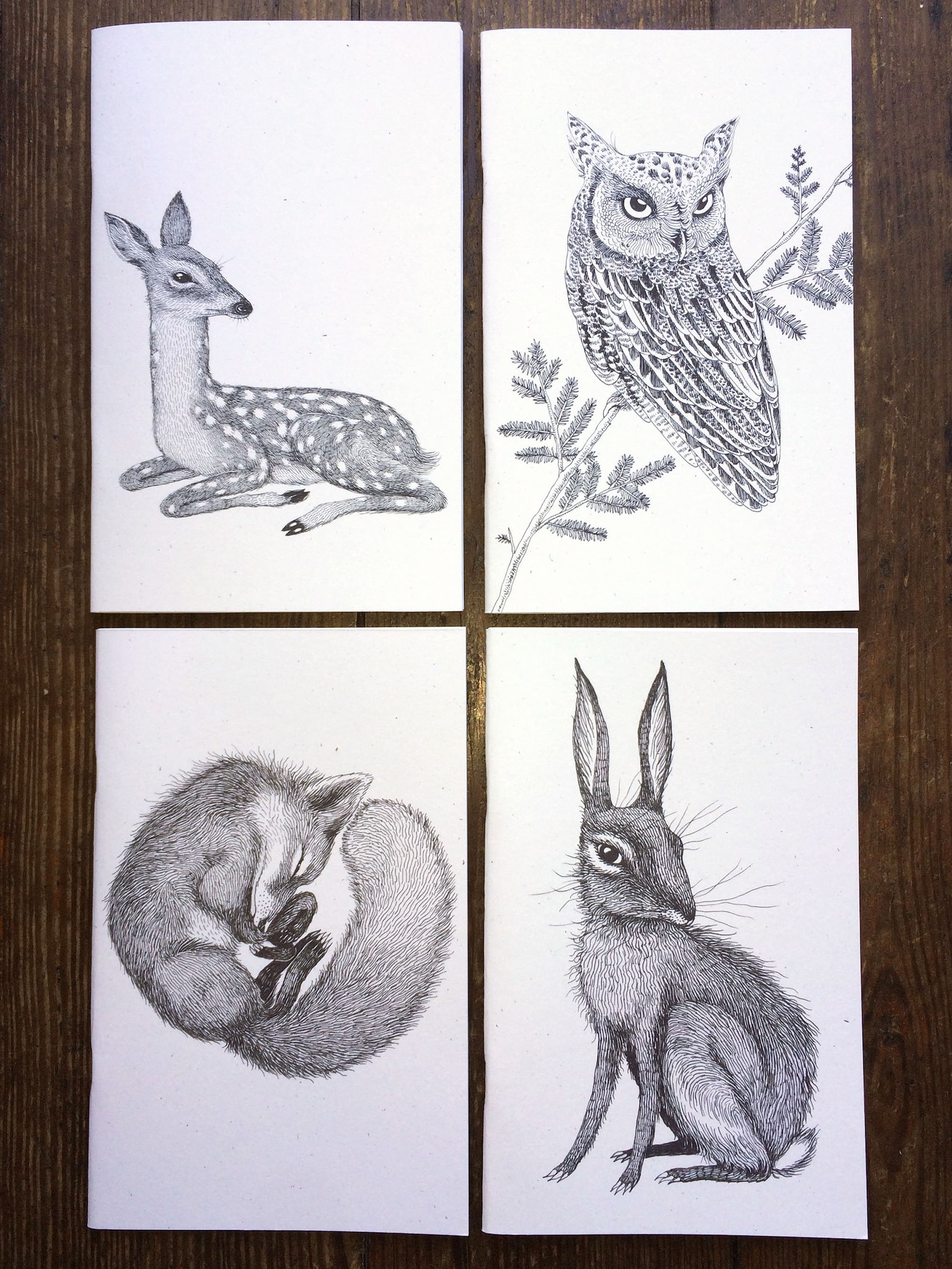 Animal Sketch Book Note Book Stationery - Etsy