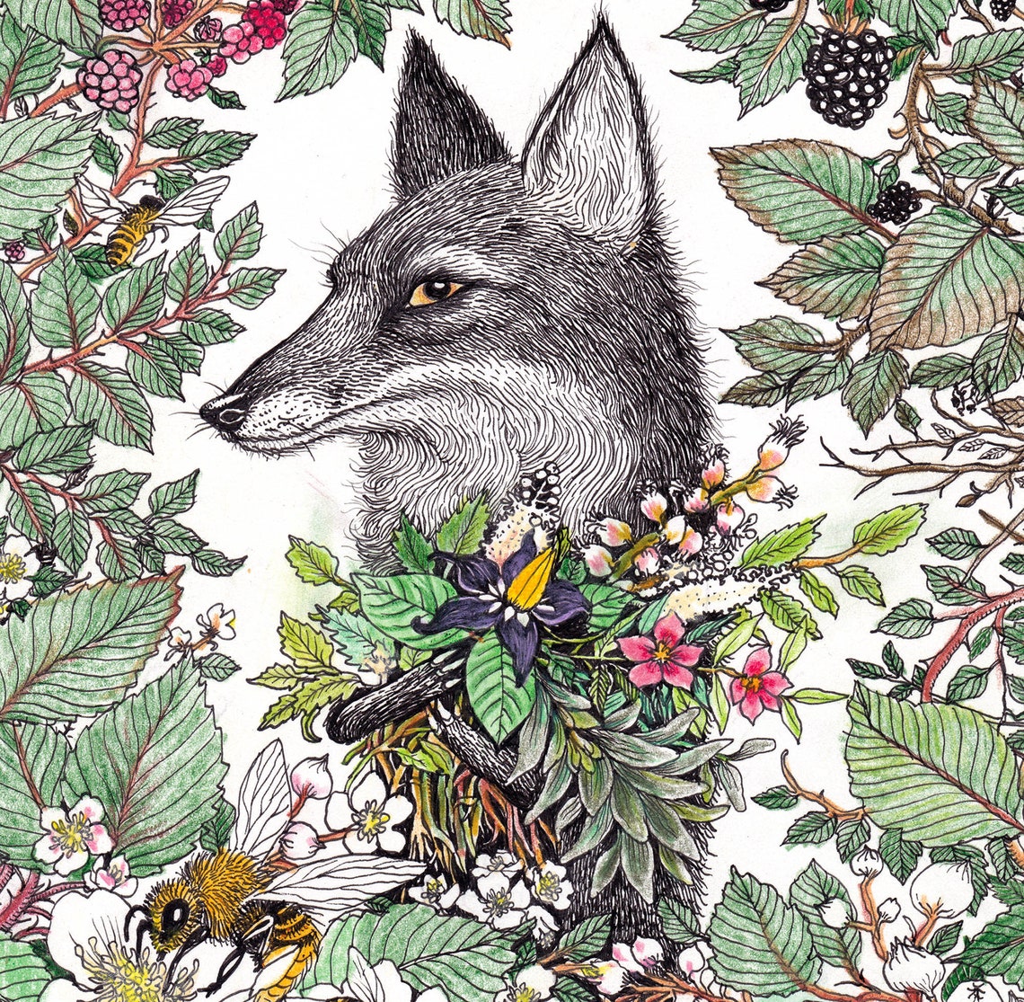 Botanical Illustration Herbal Medicine Fox | Etsy