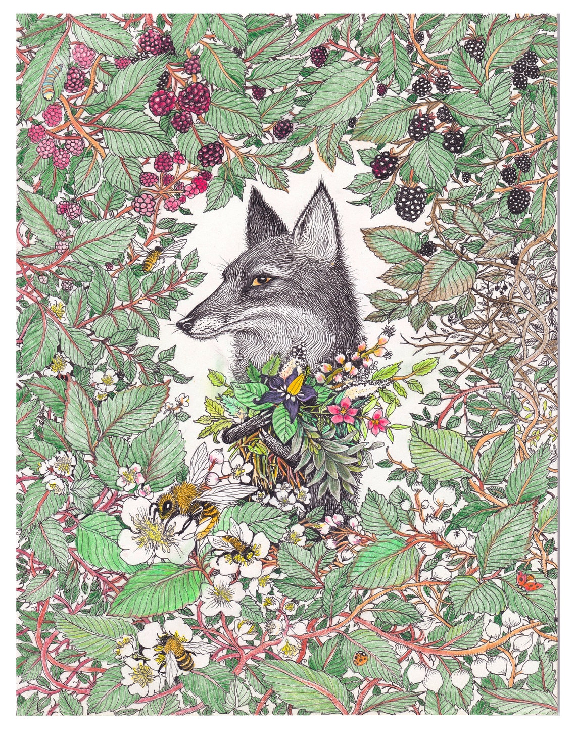 Botanical Illustration Herbal Medicine Fox | Etsy