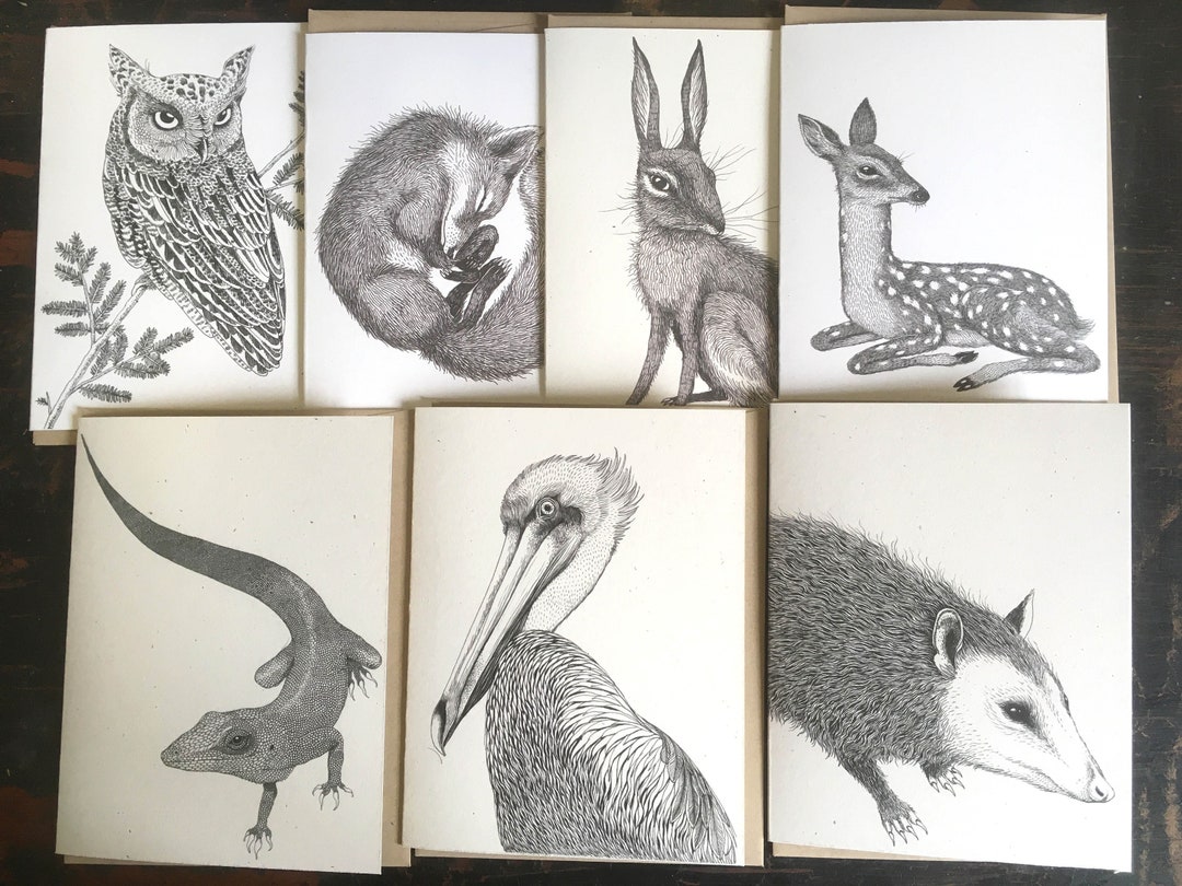 Stationery Set Note Cards Animals - Etsy
