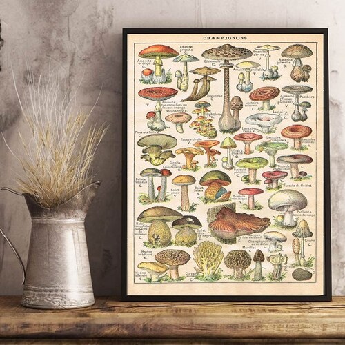 Woodland Creatures Art | Etsy