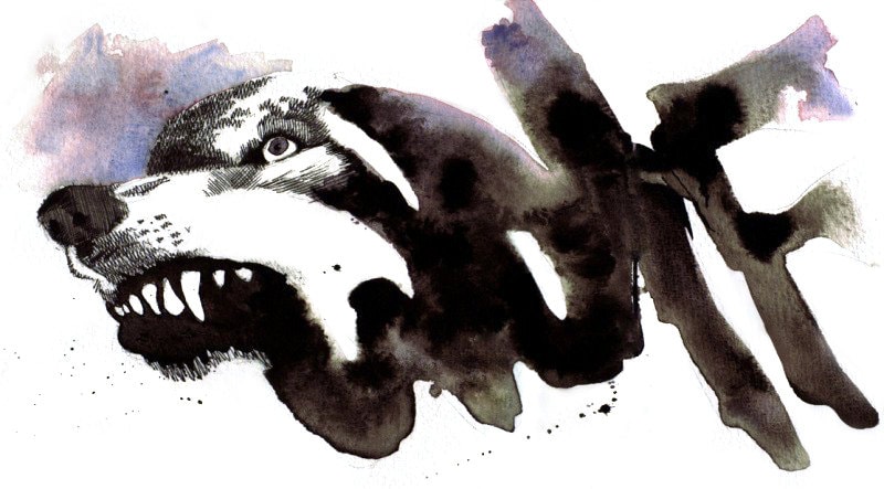 Wolf Ink Drawing Wood Animal Birthday Greeting Card, Graffiti Art ...