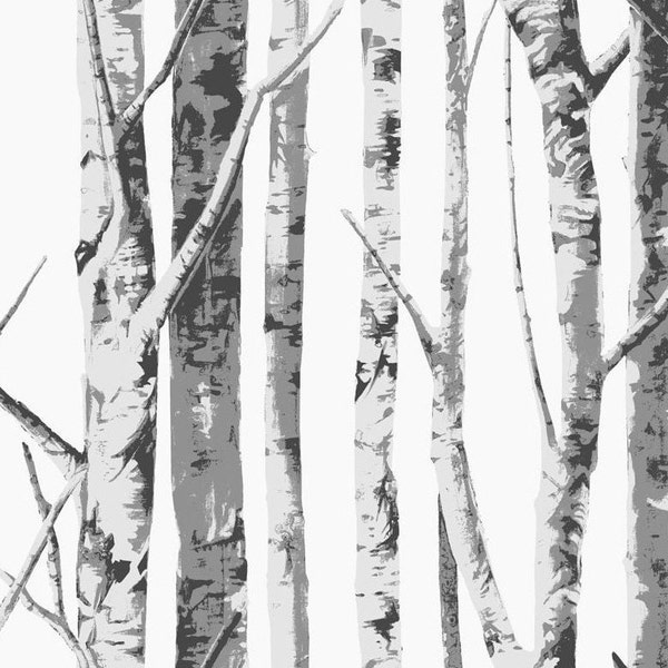 Birch Tree Wall Mural - Etsy
