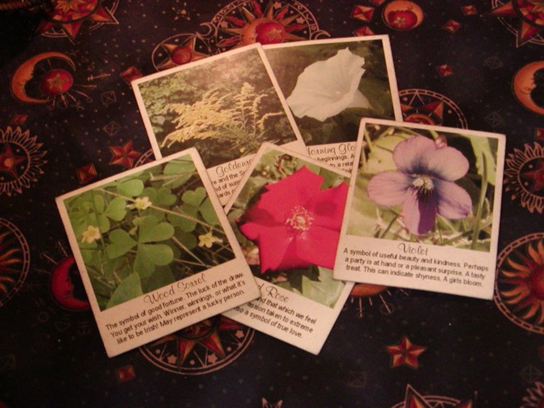 30 Minute Psychic Flower Cards Reading by Phone - Etsy