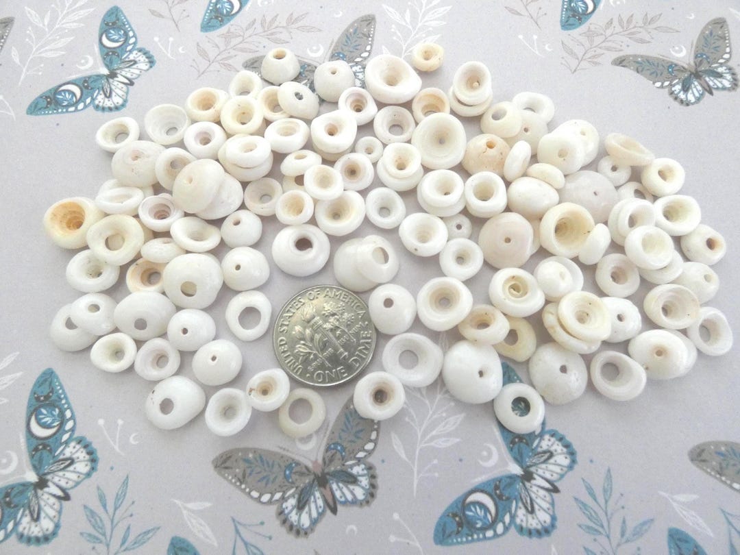 Miniature Puka Shell Assortment ~ Beach Treasure Shell Beads ~ 120+ Shells ~ Craft and Design - Etsy