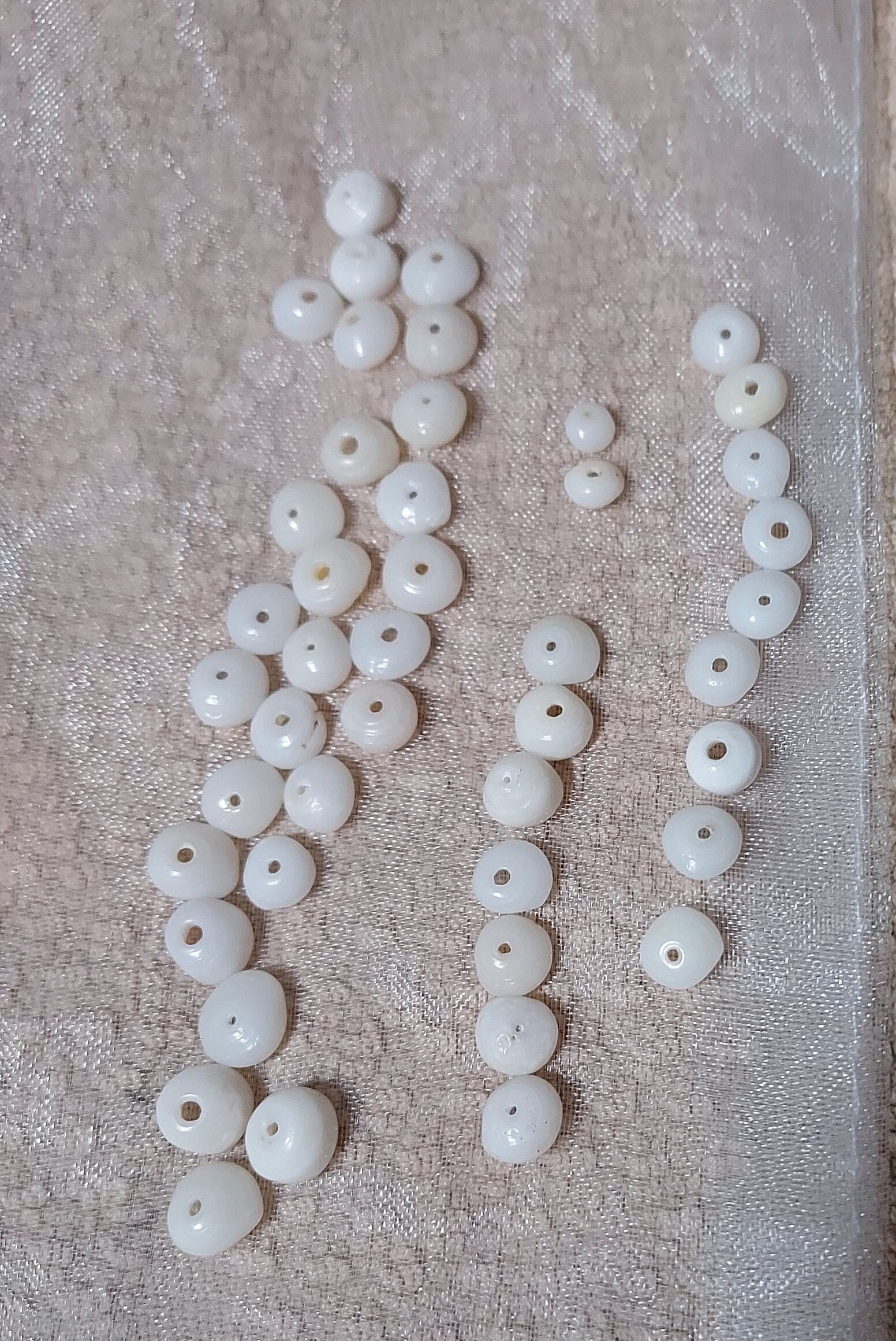 Genuine Maui Shores Mini White-ivory Puka Shells Quality Puka Shells ...