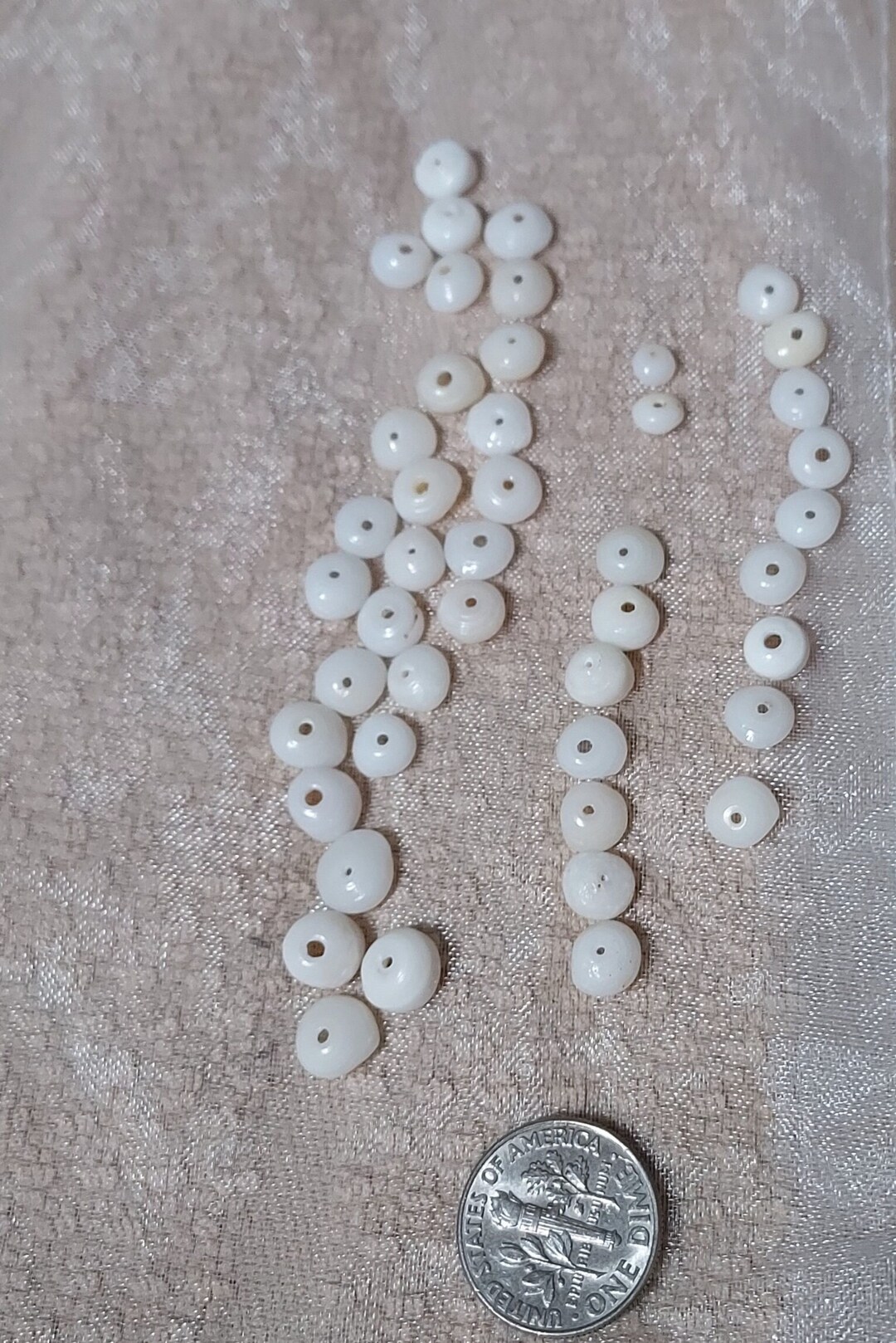 Genuine Maui Shores Mini White-ivory Puka Shells Quality Puka Shells ...