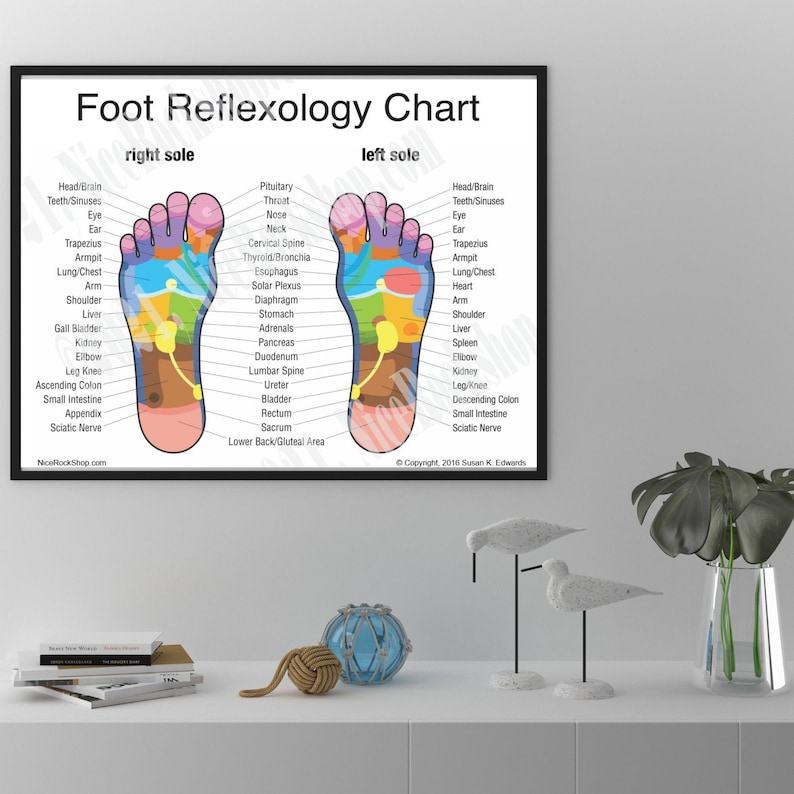 Digital 2 Page Foot Reflexology Chart Massage Therapist Office Decor