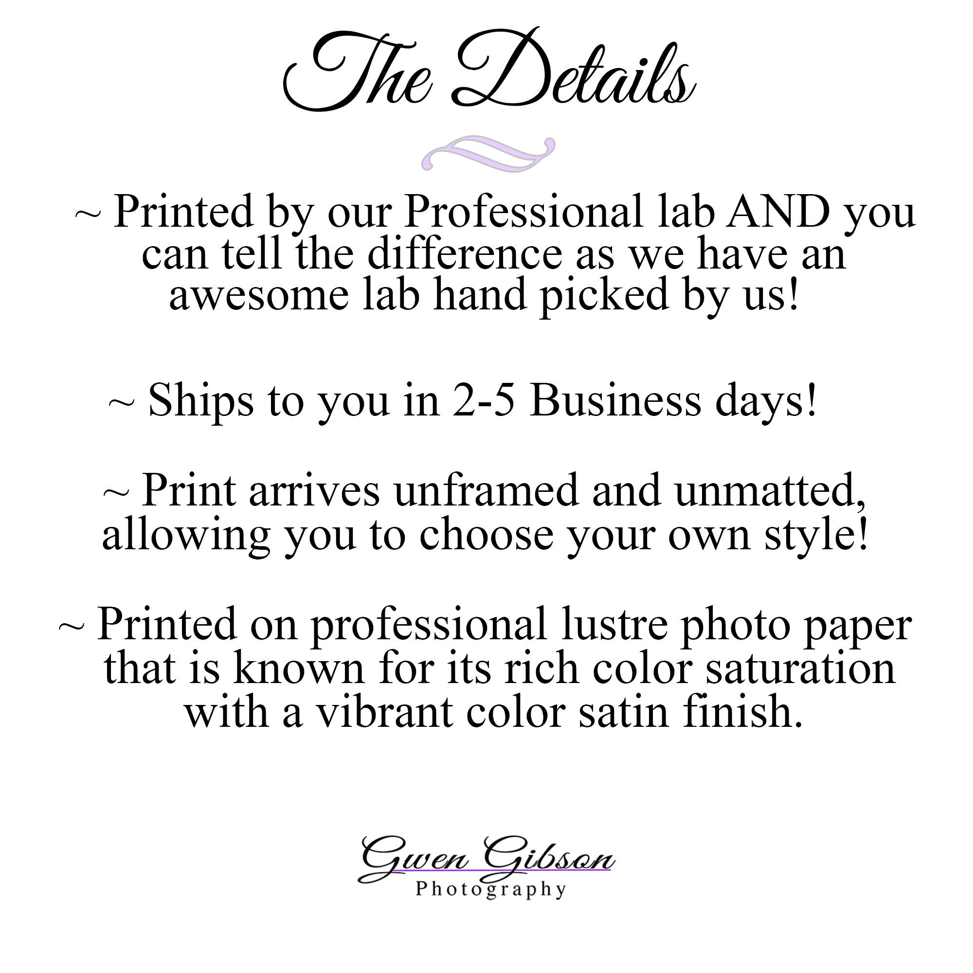 Single Stem Red Rose Photo, Rose Fine Art Print, Romantic Art Bedroom ...