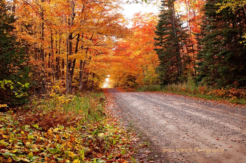 Autumn Picture, Upper Peninsula, Autumn Forest Photograph, Michigan ...