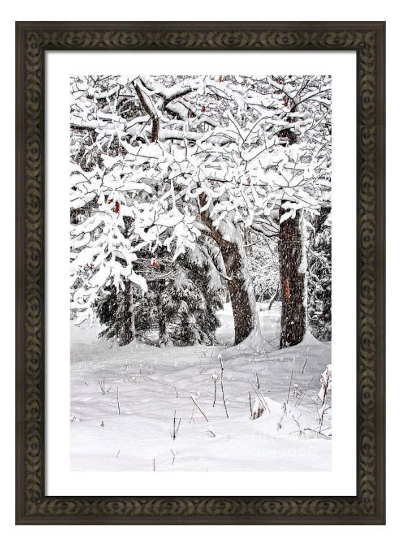 Michigan Winter Forest Photo, Snowy Hardwood Forest Print, Winter ...