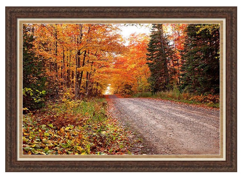 Autumn Picture, Upper Peninsula, Autumn Forest Photograph, Michigan ...