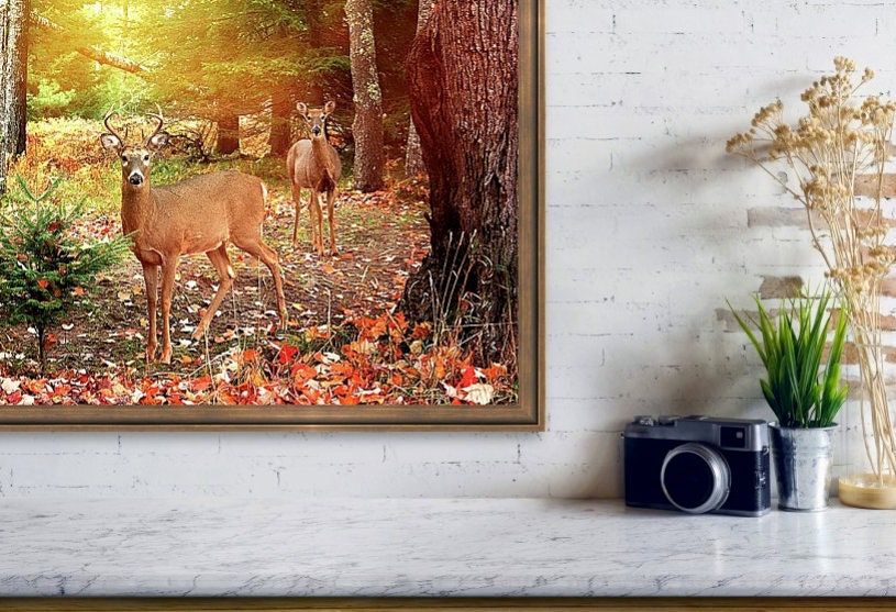 Buck at Sunset Wall Art, Whitetail Deer Autumn Wall Decor, Autumn Photo ...