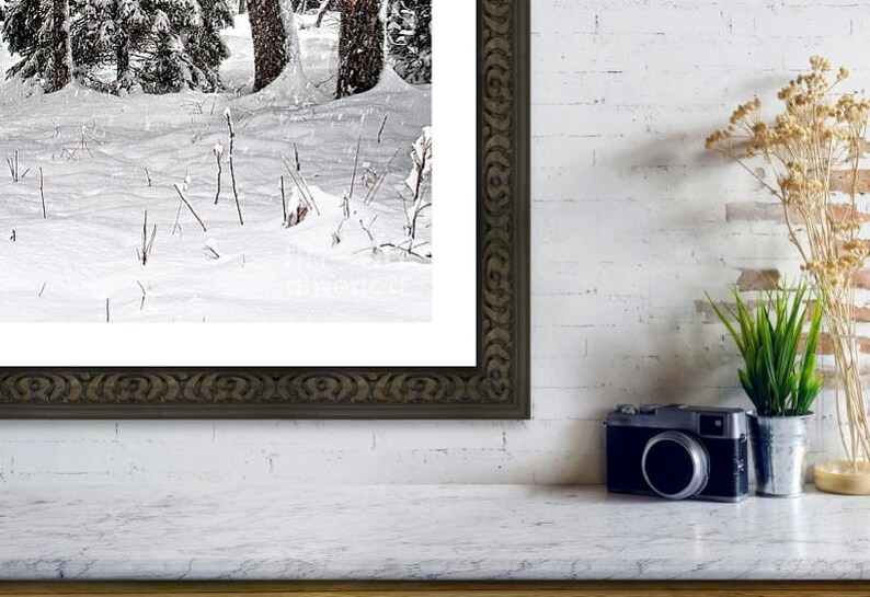 Michigan Winter Forest Photo, Snowy Hardwood Forest Print, Winter ...