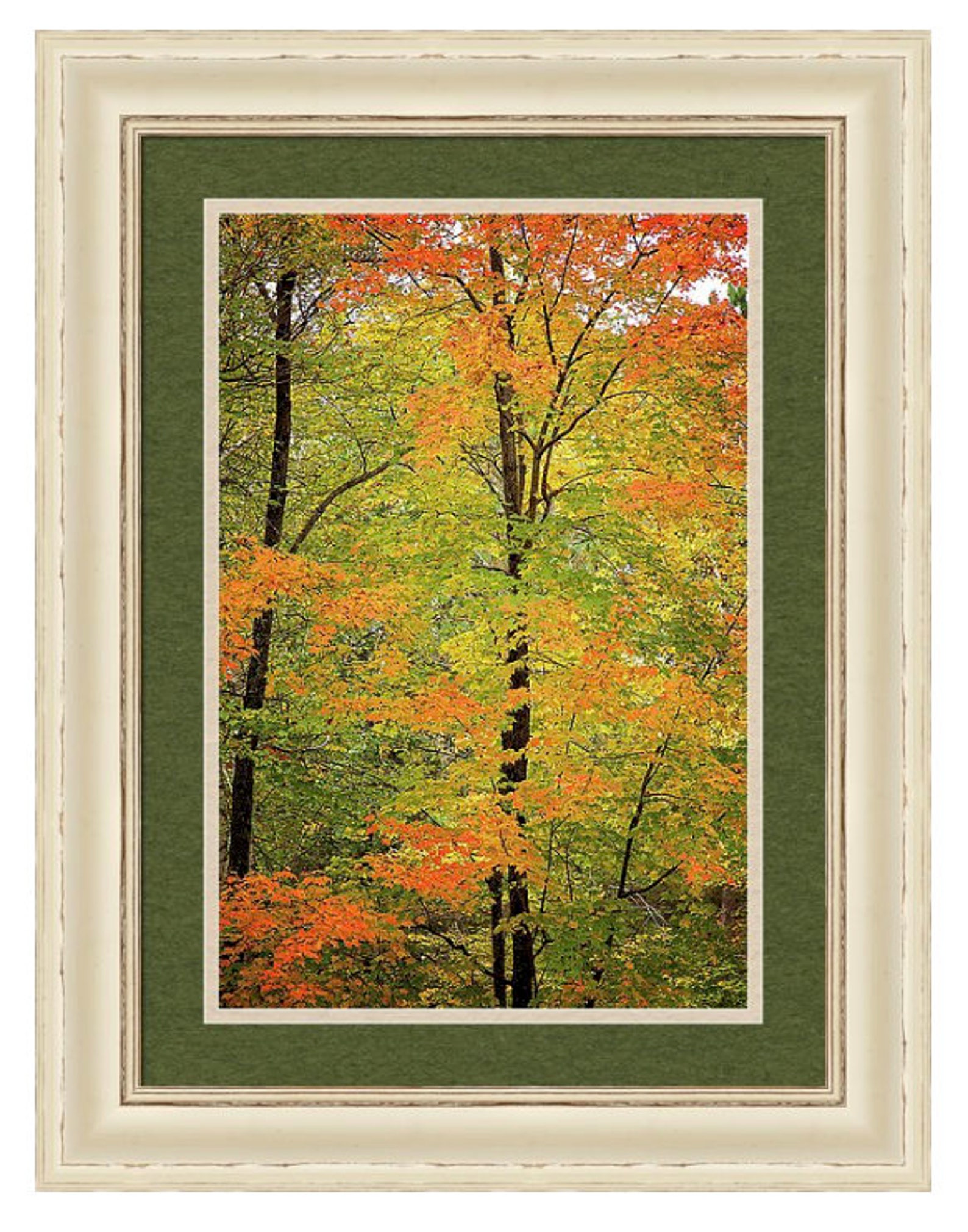 Fall Landscape Print, Maple Tree Print, Autumn Picture, Michigan Fall ...