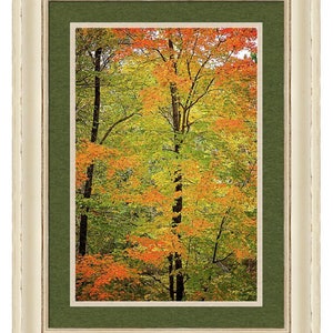 Fall Landscape Print, Maple Tree Print, Autumn Picture, Michigan Fall ...