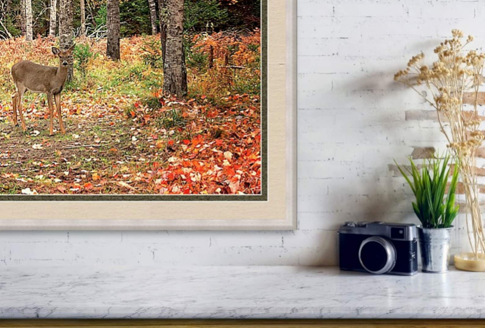 Whitetail Deer Wall Art, Autumn Wall Decor, Autumn Art, Forest Fall ...