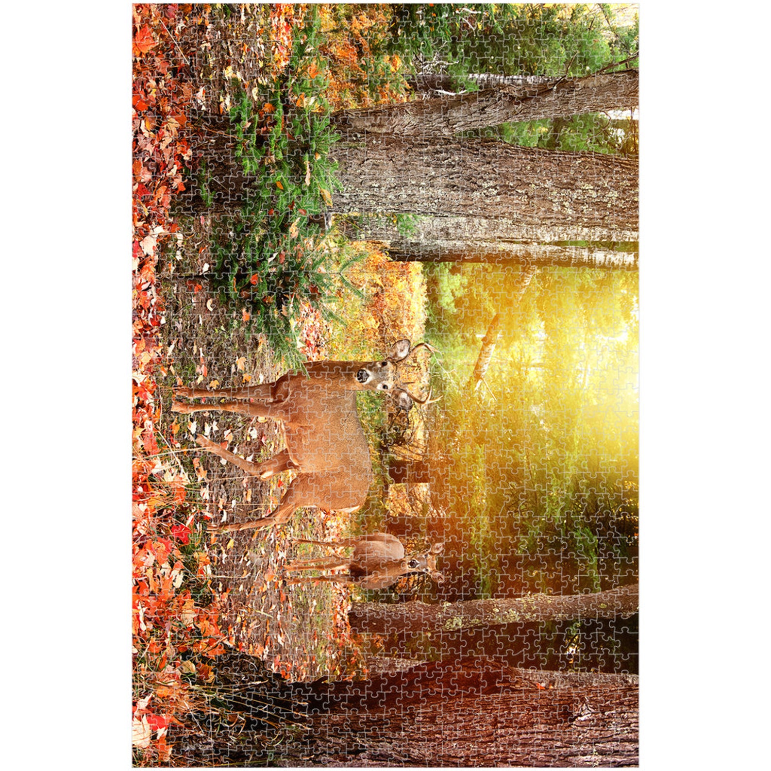 Deer Wildlife Premium Jigsaw Puzzles, 16x20 or 20x30 Inches, Michigan ...