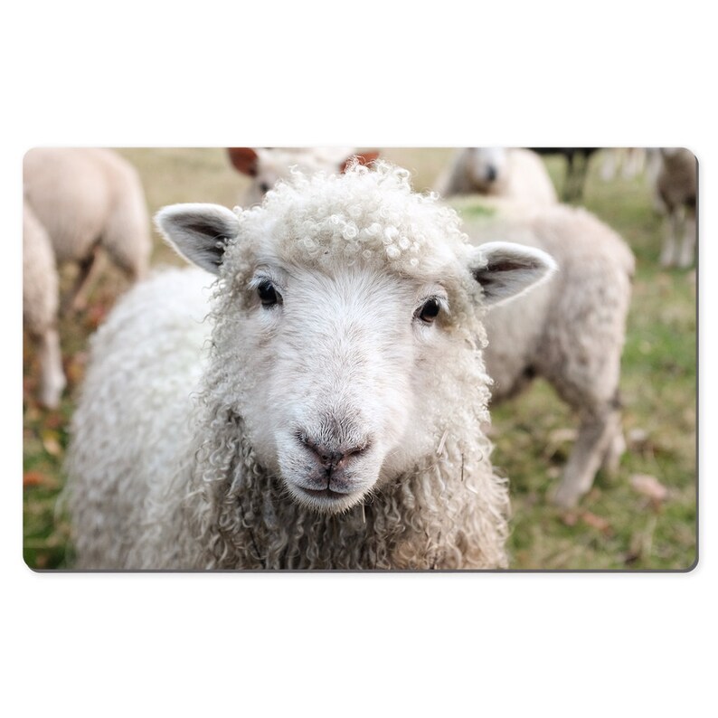 Sheep Desk Mats, Farm Animal Desk Pad, Farmers Desk Mat, Animal Lover ...