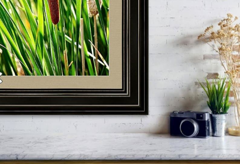 Cattail Photograph, Wetlands Photo, Cattails Wall Art, Wild Grass Image ...