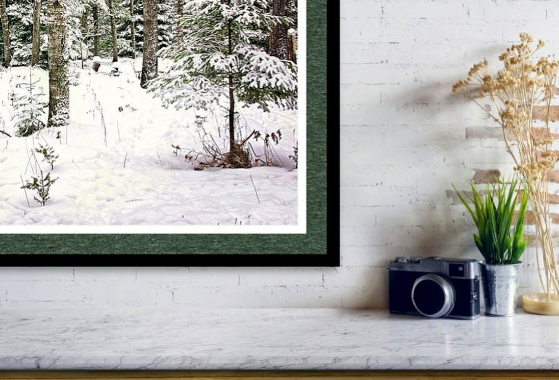 Trees in Snow Print, Winter Photography, Snowy Pines Pictures, Woodland ...