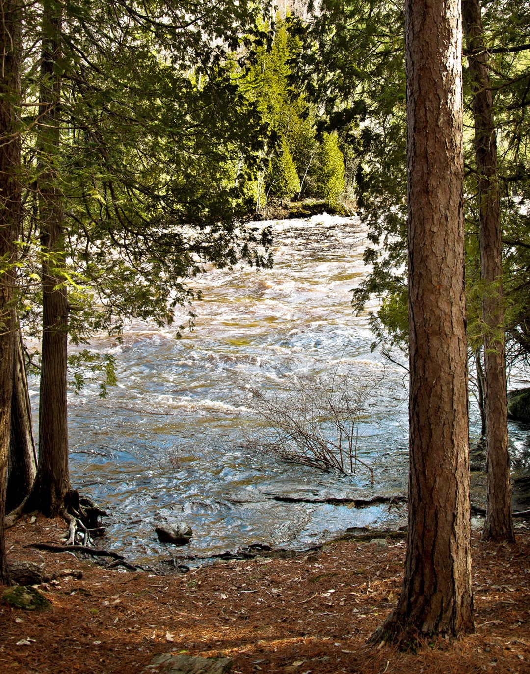 Piers Gorge Rapids River Picture, Upper Peninsula Photography, White ...