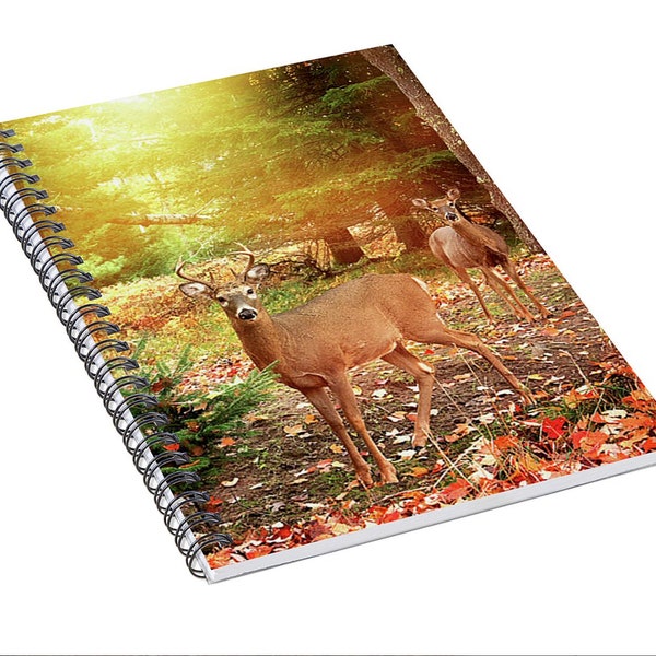 Whitetail Deer - Etsy