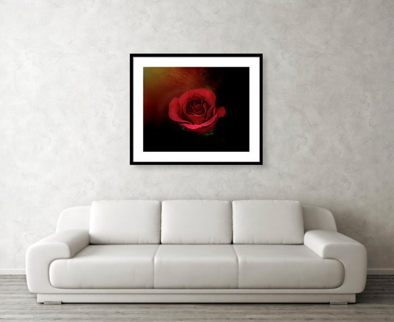 Dark Red Rose Photo, Rustic Rose Fine Art Print, Romantic Art Bedroom ...
