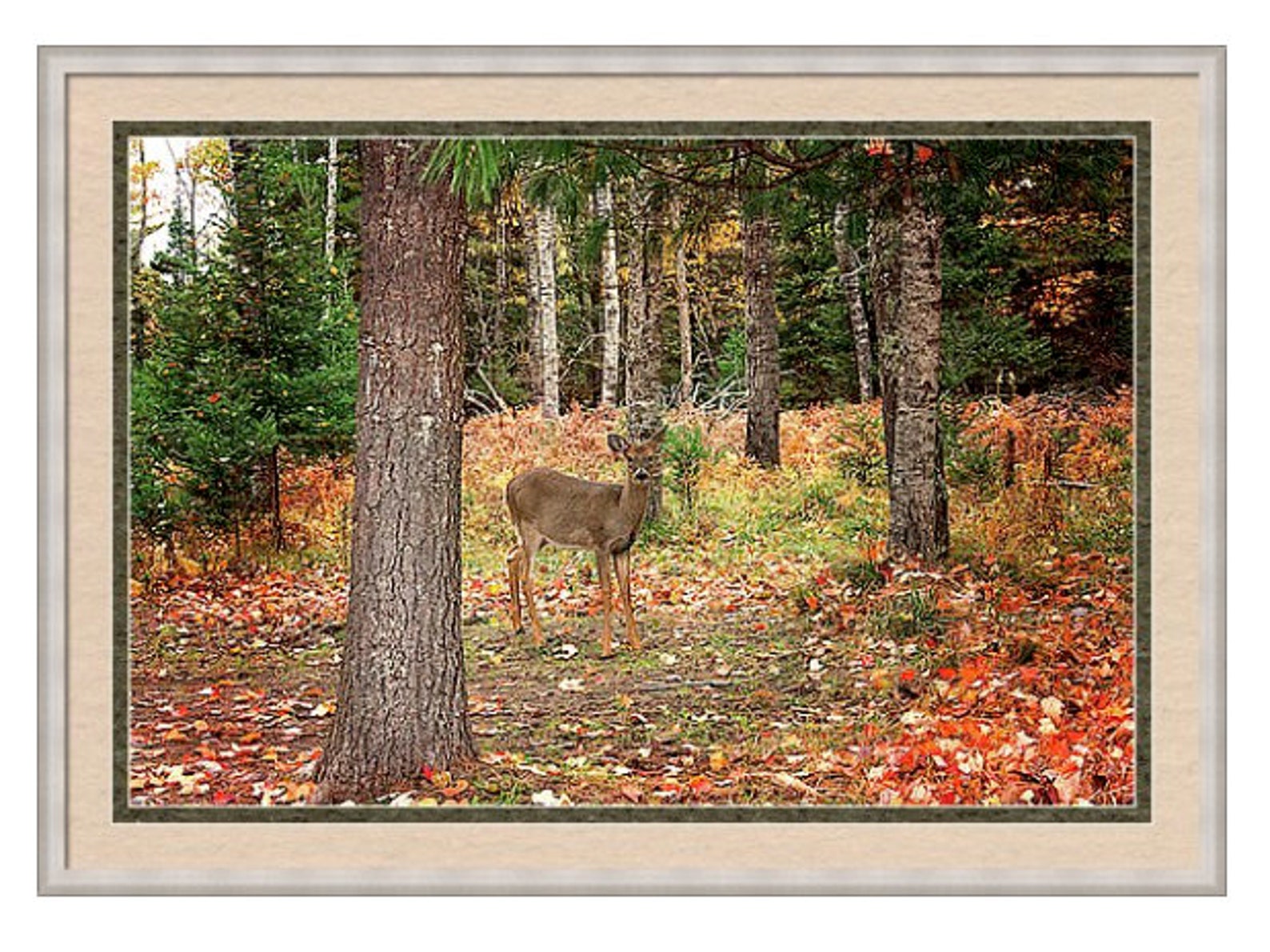 Whitetail Deer Wall Art, Autumn Wall Decor, Autumn Art, Forest Fall ...