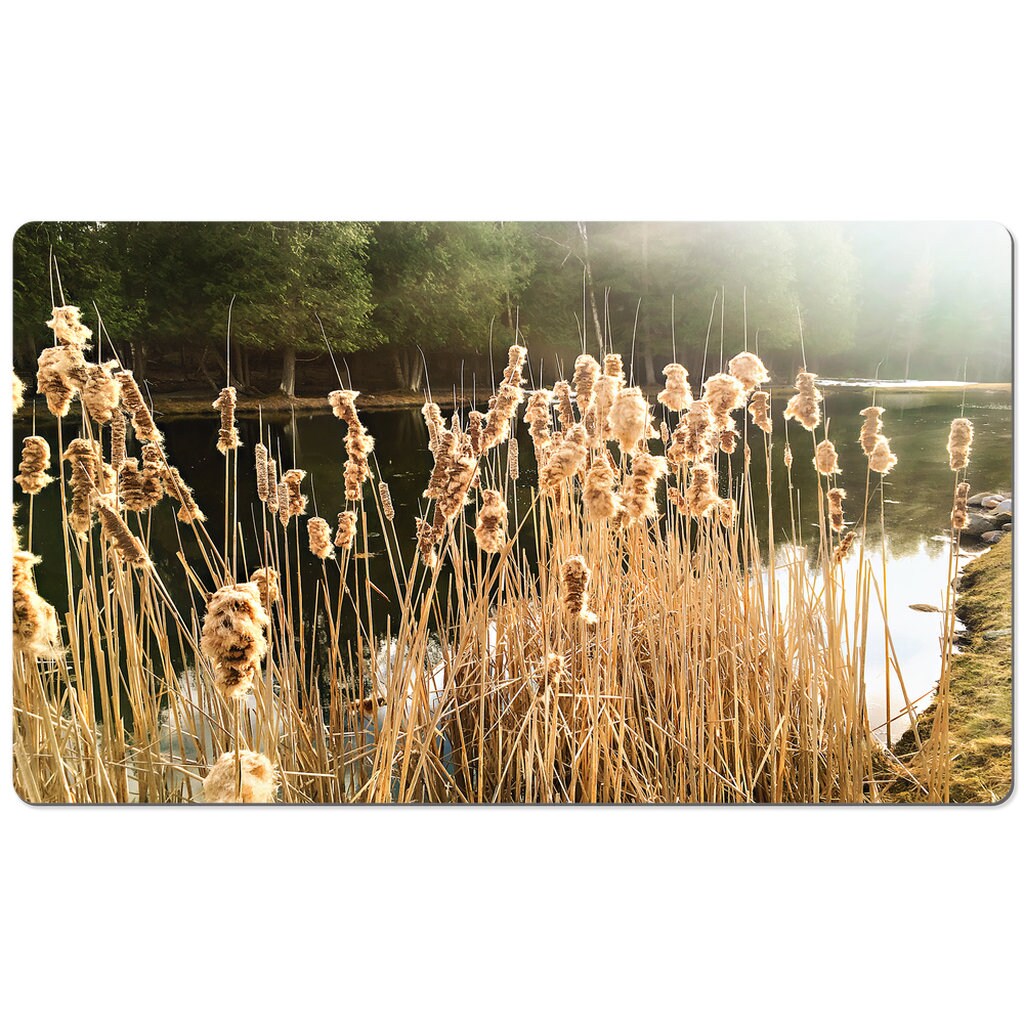 Desk Mats, Cattail Mouse Pad, Wetlands Office Decor, Large Desk Mat ...