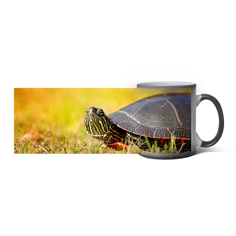 Magic Mugs, Painted Turtle Mug, Michigan Turtle, Upper Peninsula ...