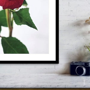 Single Stem Red Rose Photo, Rose Fine Art Print, Romantic Art Bedroom ...
