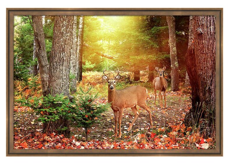 Buck at Sunset Wall Art, Whitetail Deer Autumn Wall Decor, Autumn Photo ...