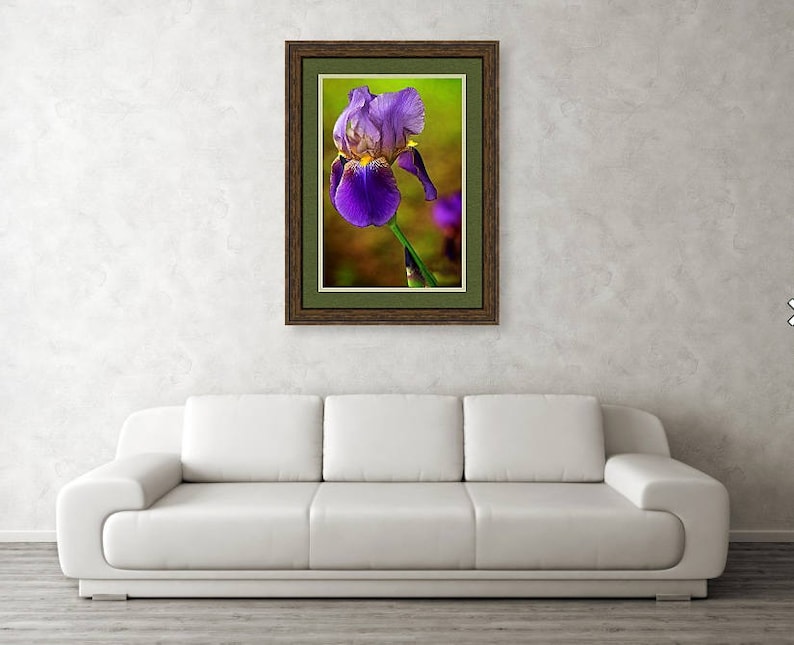 Purple Iris Flower, Bearded Iris Print, Garden Flower Print, Floral ...