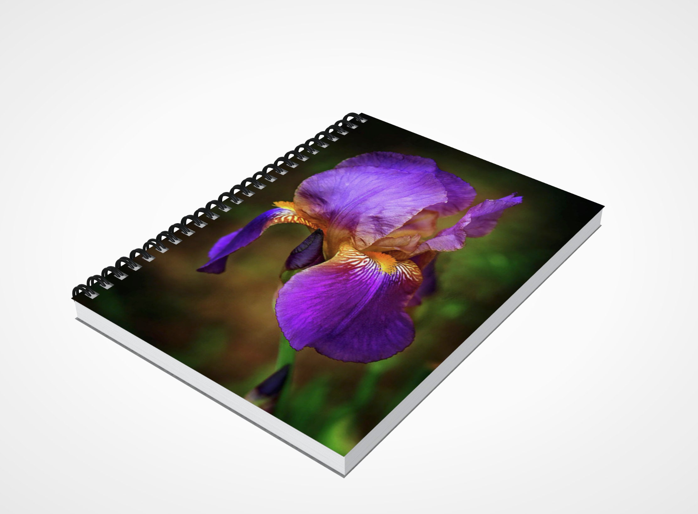 Purple Bearded Iris Notebook, Spiral Floral A5 Lined Diary, Life ...