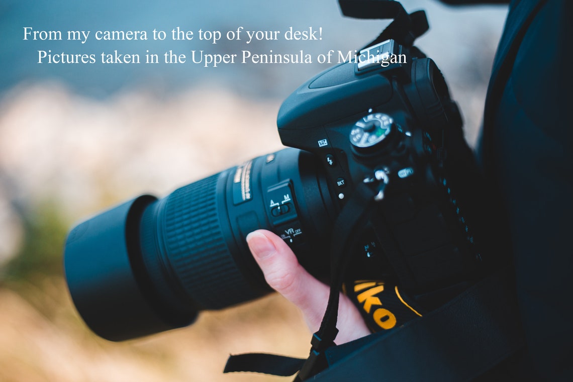 Daisy Desk Mat, Gerbera Floral Computer Pad, Floral Art Office Decor ...