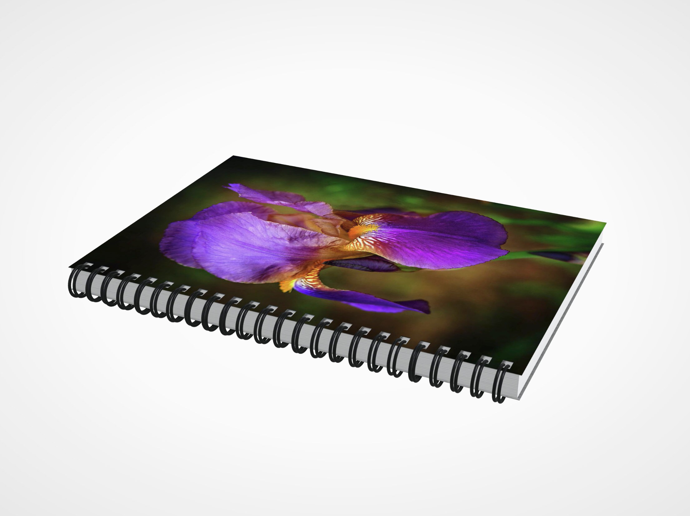Purple Bearded Iris Notebook, Spiral Floral A5 Lined Diary, Life ...