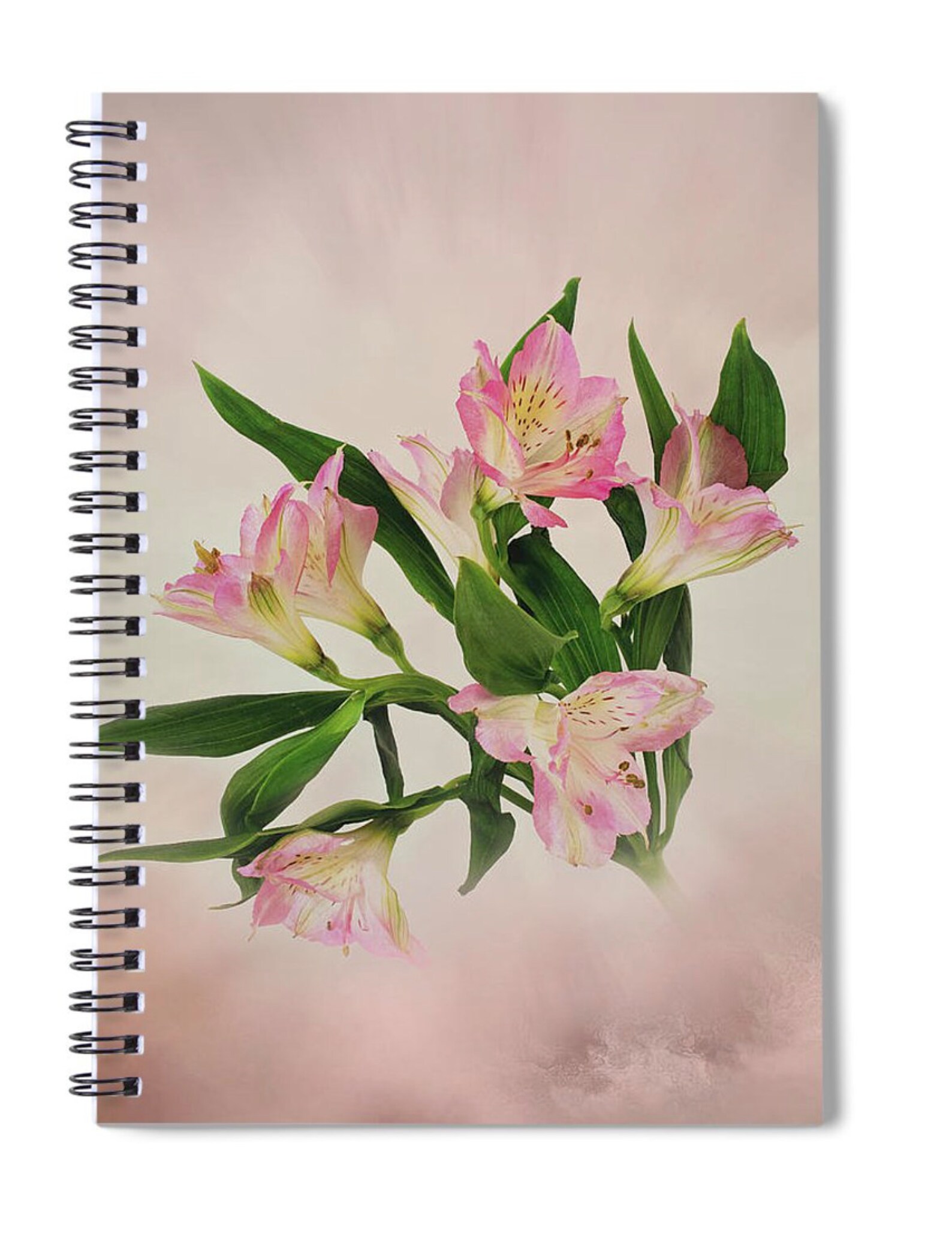 Alstroemeria Peruvian Lily Notebook, Lily of the Incas A5 Spiral Lined ...