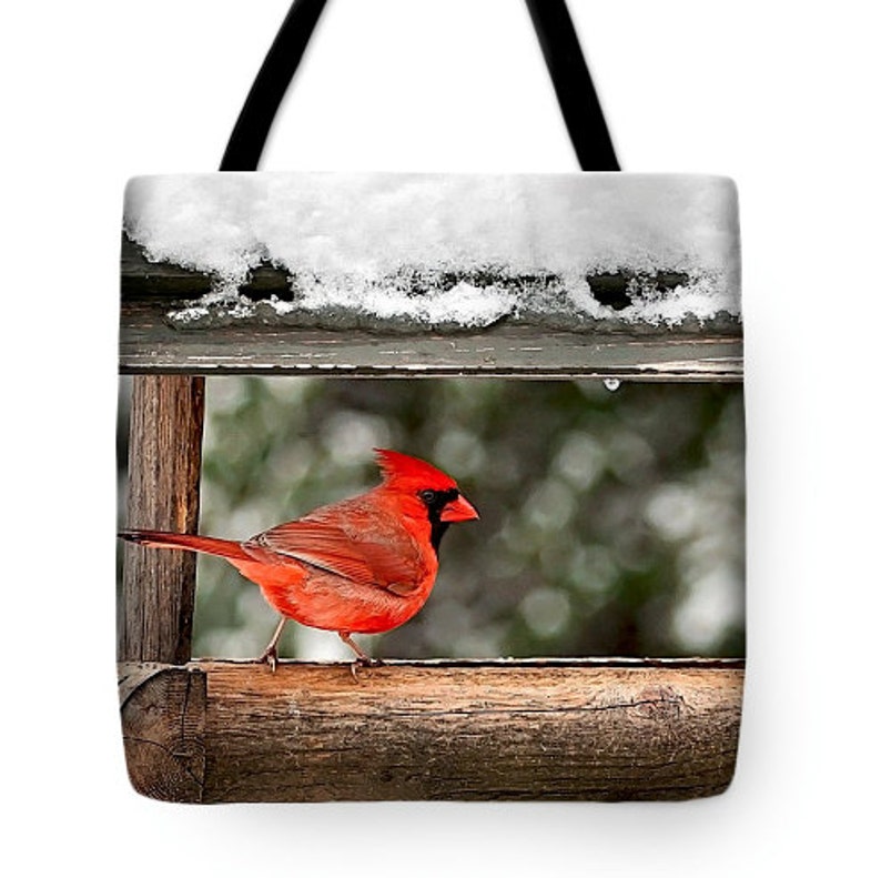 Tote Bag Red Cardinal Tote Photo Tote Bag Fine Art Tote - Etsy