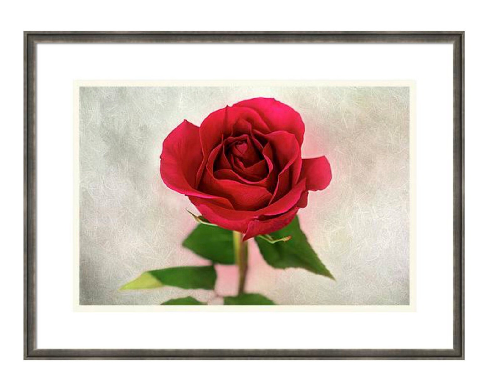 Red Rose Photo, Single Stem Rose Fine Art Print, Romantic Art Bedroom ...