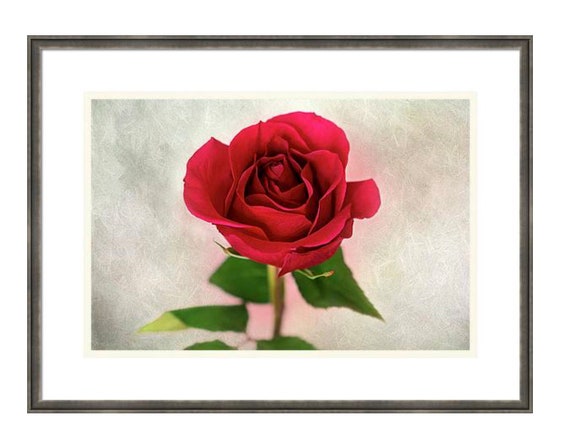 Art & Collectibles Paint & Canvas Mixed Media & Collage Garden Rose ...