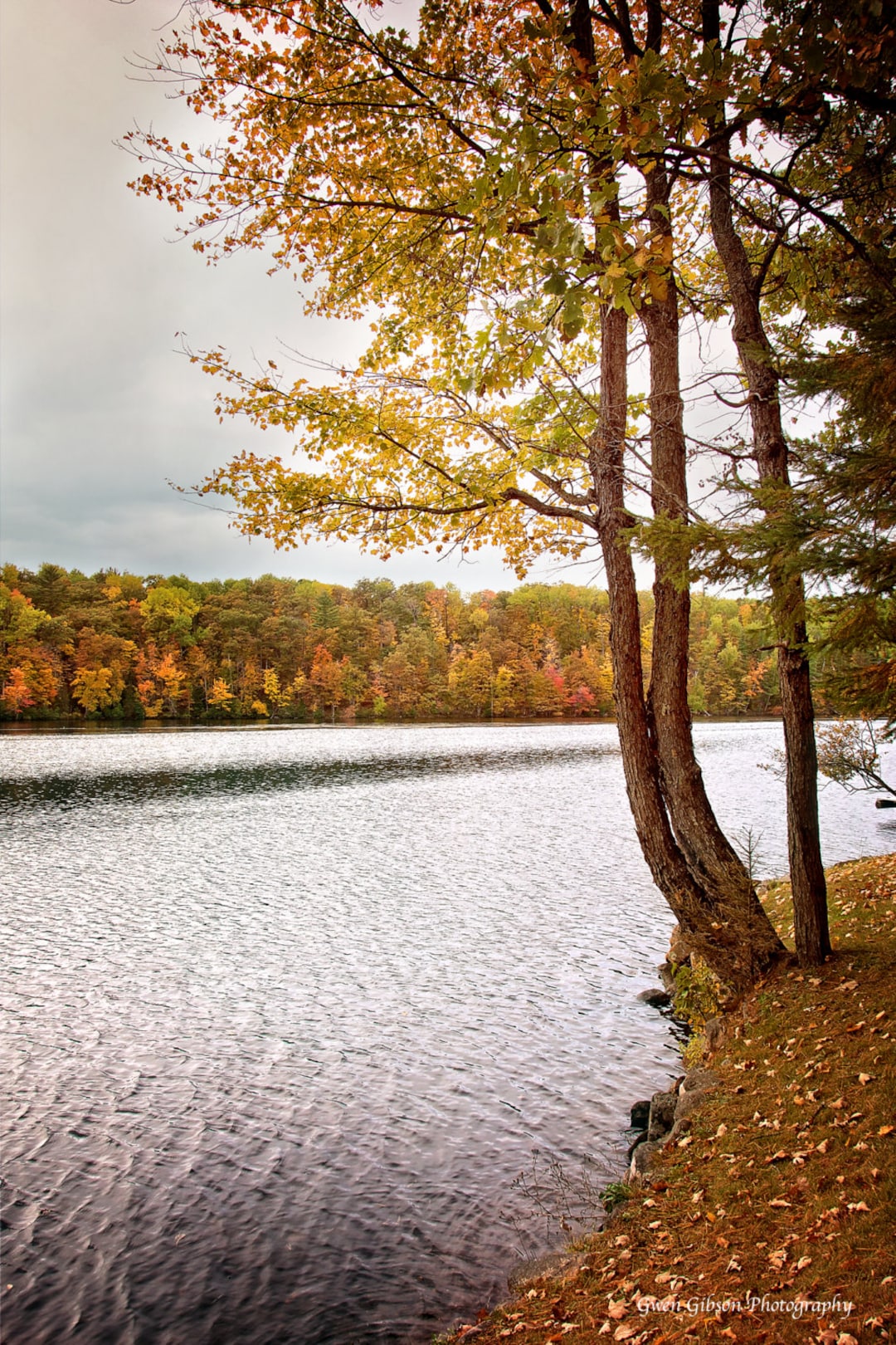 Menominee River Fall Color Print, River in Fall, Autumn Photograph ...