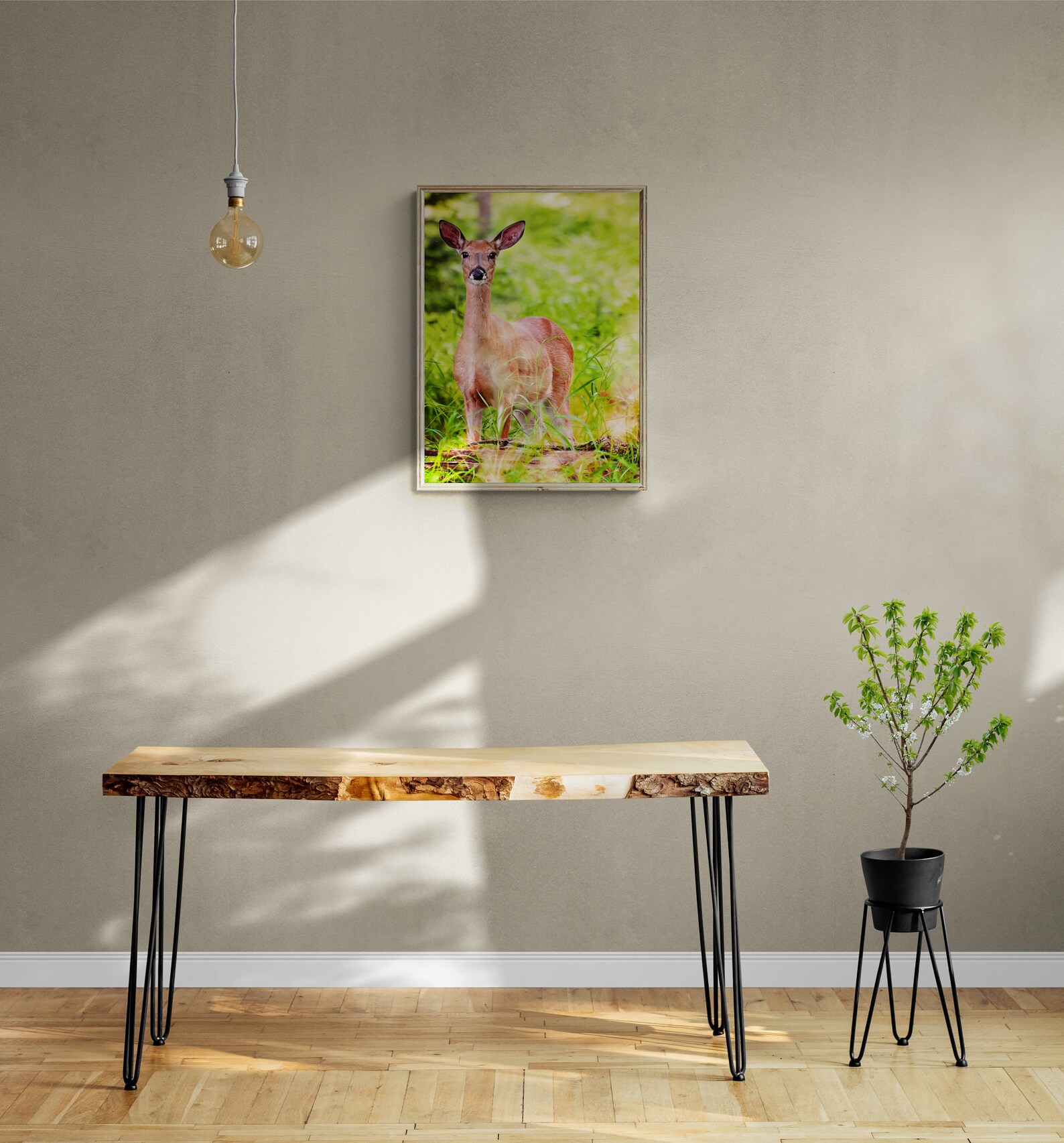 Whitetail Deer Doe Print, Deer Photography, Deer Picture, Wildlife ...