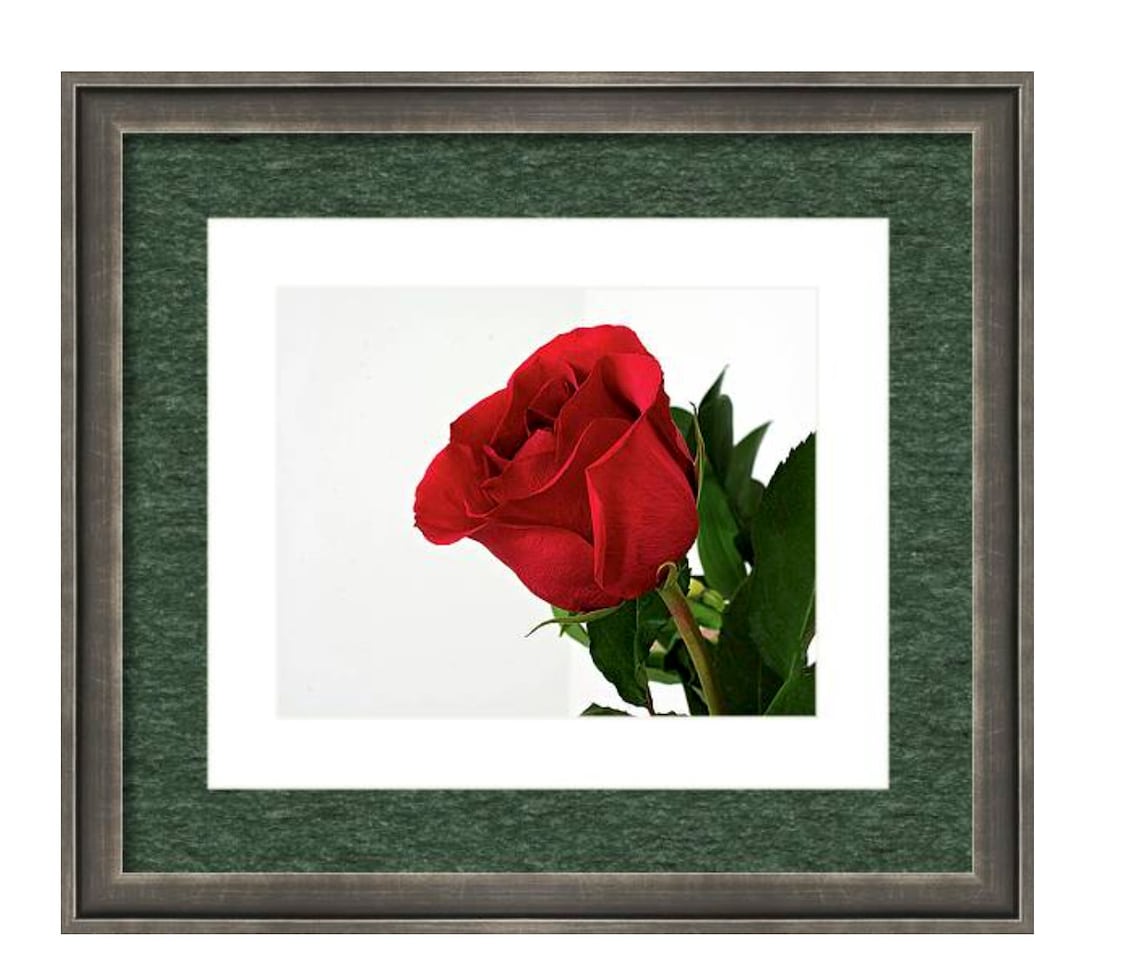 Single Stem Red Rose Photo, Rose Fine Art Print, Romantic Art Bedroom ...