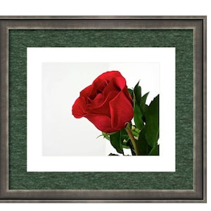 Single Stem Red Rose Photo, Rose Fine Art Print, Romantic Art Bedroom ...