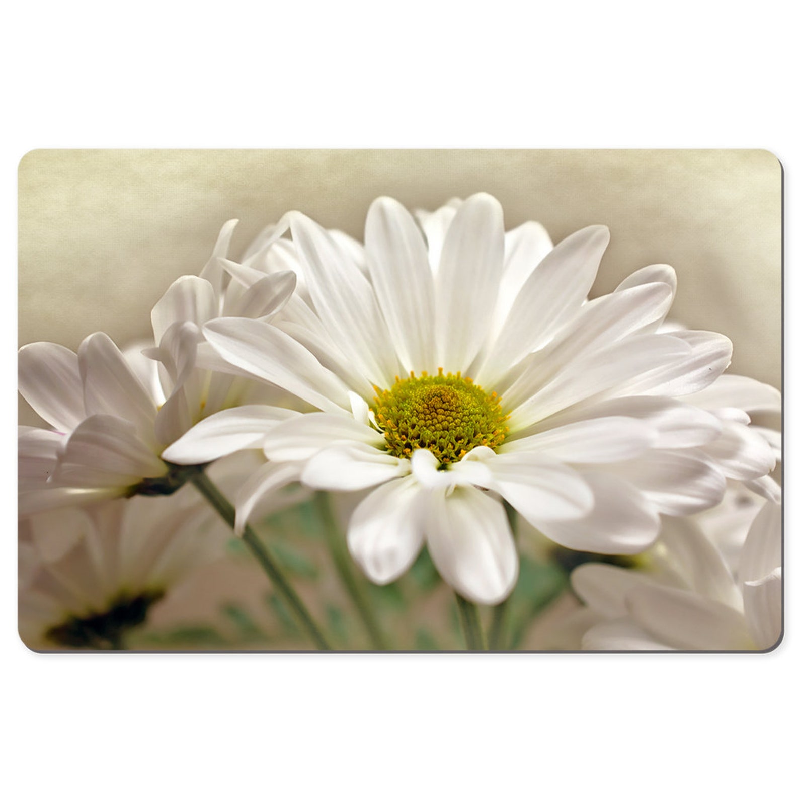Daisy Desk Mat, Gerbera Floral Computer Pad, Floral Art Office Decor ...